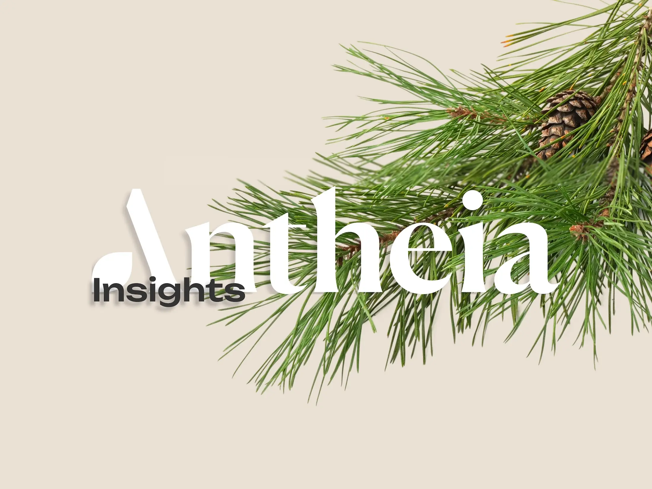 Reflecting on a Year of Momentum at Antheia - Antheia